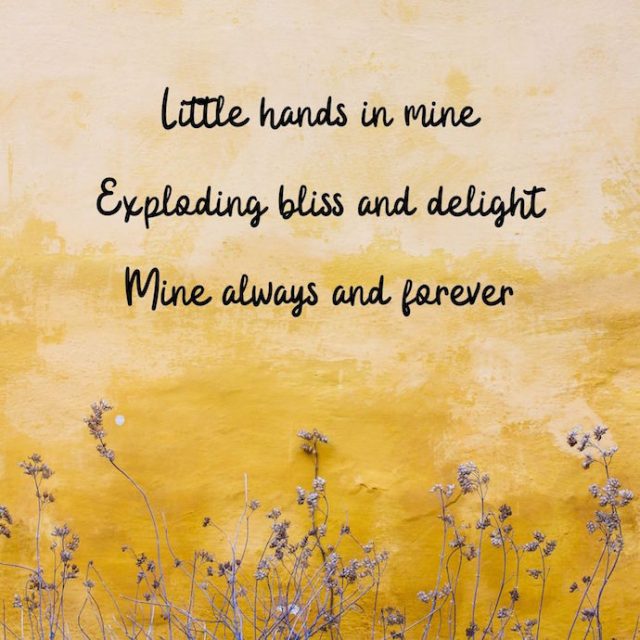 How to Write a Haiku with 5 Examples