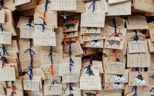 How to Write a Haiku with 5 Examples