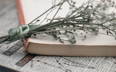 How to Write a Haiku with 5 Examples