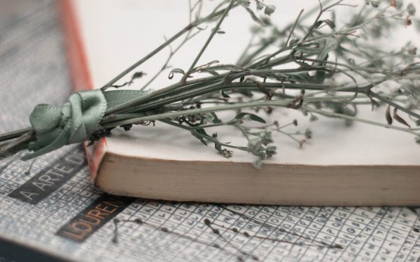 How to Write a Haiku with 5 Examples