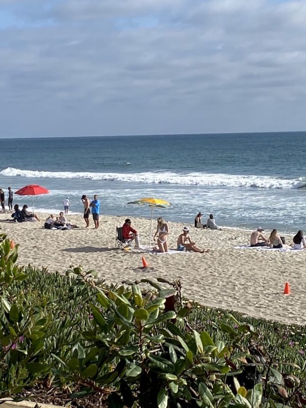 Things to do in Carlsbad California