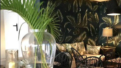 Things to Do in St Martin / St Maarten