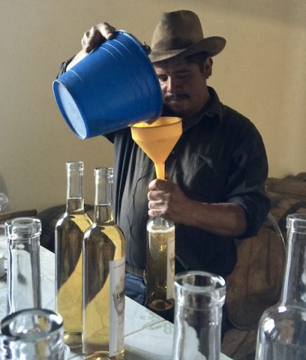 The 13 Best Mezcals to Transport You to Oaxaca!
