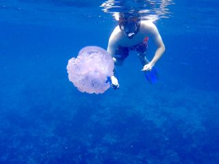 Best Dive Shop in Key West