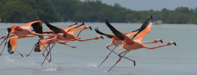 Best Merida Mexico Beaches in the Yucatan Peninsula