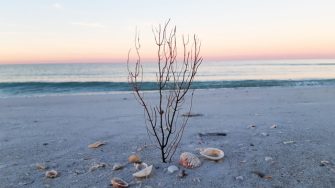 THE 15 BEST Things to Do in Apollo Beach, Florida