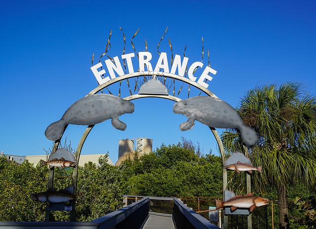 THE 15 BEST Things to Do in Apollo Beach, Florida