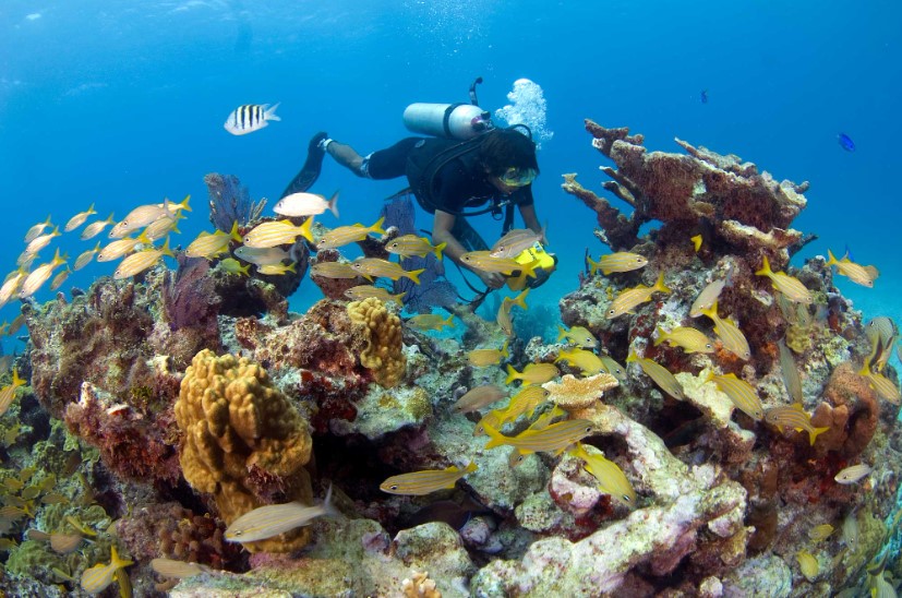 Top 5 Places to Snorkel in Cancun (2023)