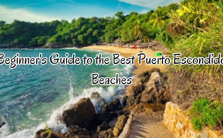 Beginner's Guide to the Best Puerto Escondido Beaches